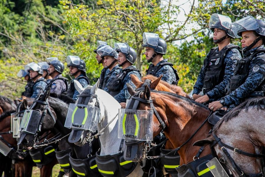 Destaque - Alagoas Inform